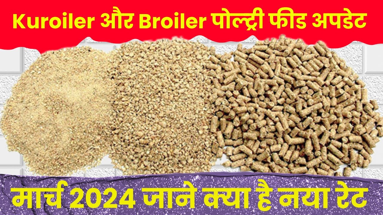 Poultry feed rate update, Poultry poultry feed rate, Poultry feed rate ...