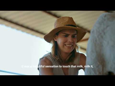 Baştan Başla 1. Bölüm