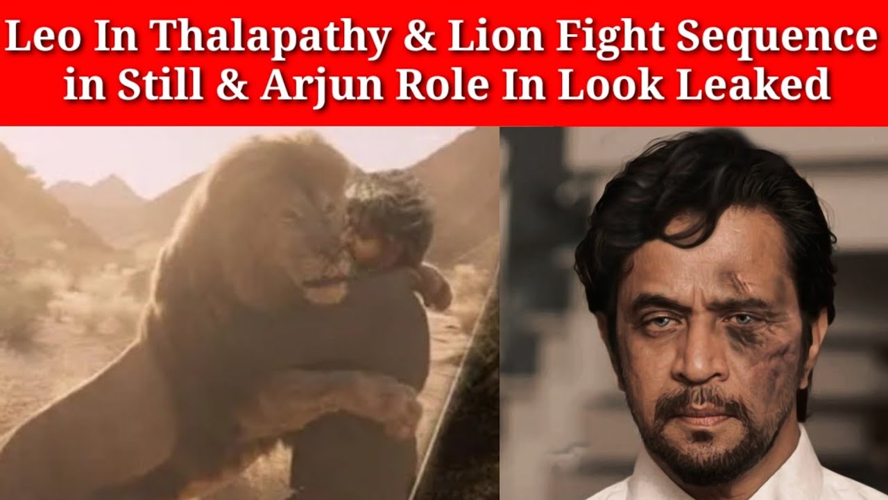 Leo In Thalapathy & Lion Fight Sequence in Still & Arjun Role In Look ...
