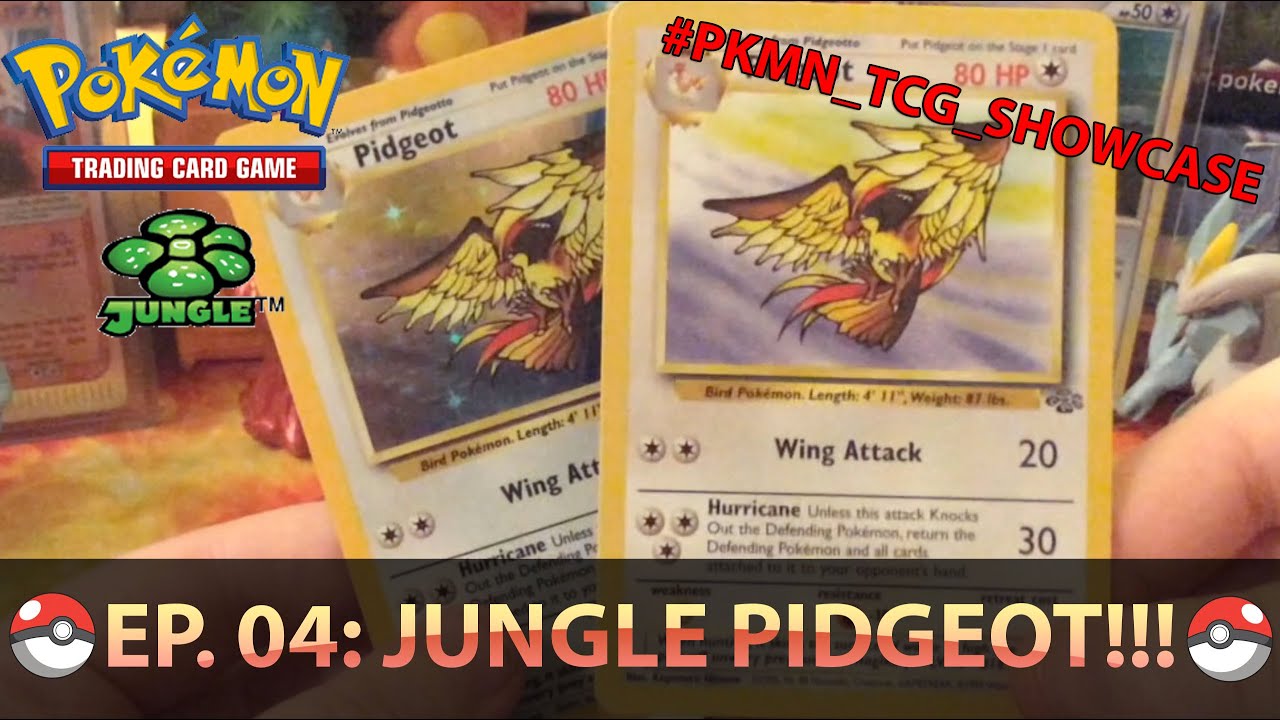 Pokemon TCG Showcase Ep. 04 Jungle Pidgeot!!! - YouTube