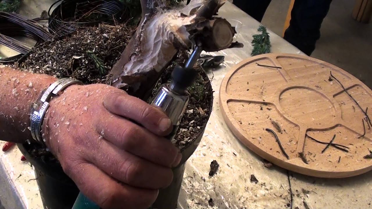 Kevin Wilson Workshop Danish Bonsai Club April 2014 - YouTube