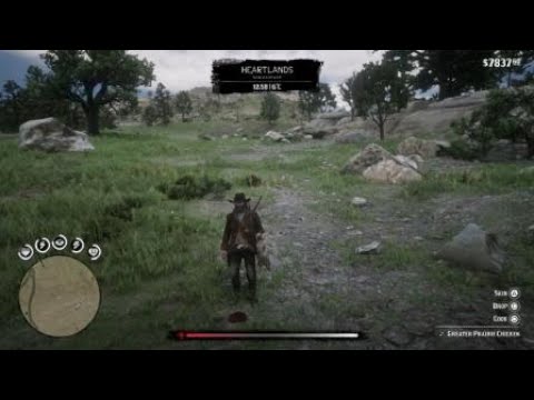 Red Dead Redemption 2 - RDR2 - GREATER PRAIRIE CHICKEN - LOCATION ...