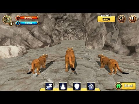 Wild Cougar Sim 3D Android Gameplay HD #4