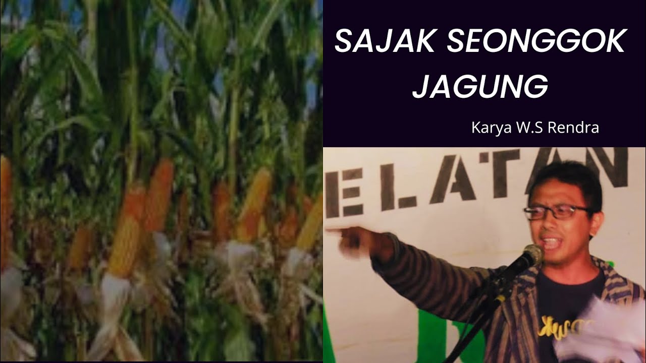 PUISI SAJAK SEONGGOK JAGUNG - W.S RENDRA - YouTube