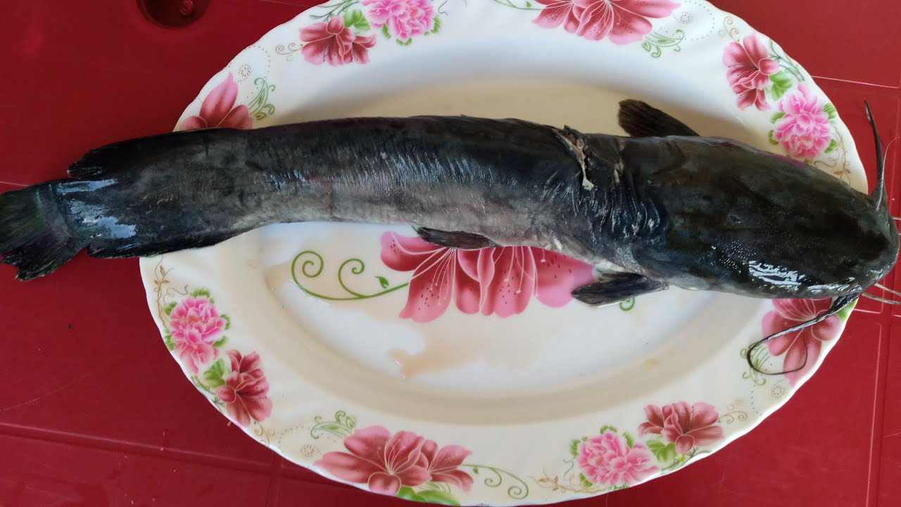 REBA UKO WATEKA IFI MU MAVUTA :HOW TO COOK FRIED FISH/JOSIANE ...