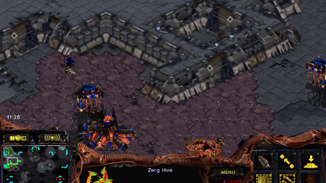 StarCraft Brood War Connor (Z) vs Filco (P) - YouTube