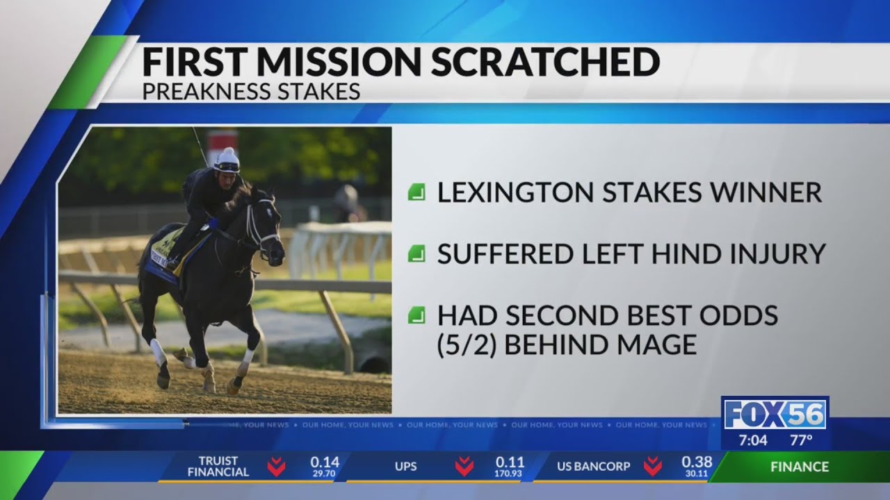 First Mission scratched from Preakness Stakes - YouTube