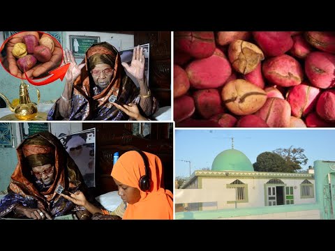 ⛔️Urgent Sokhna Saybata Néna Sunu Borom Moko kep kou indi Gouro (Cola ...