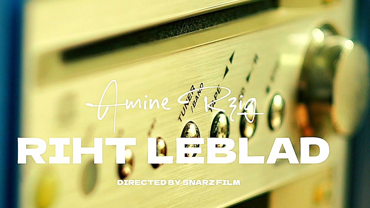 Amine Rzig - Riht Leblad - Nostalgie du pays (cover) video clip 2023 ...