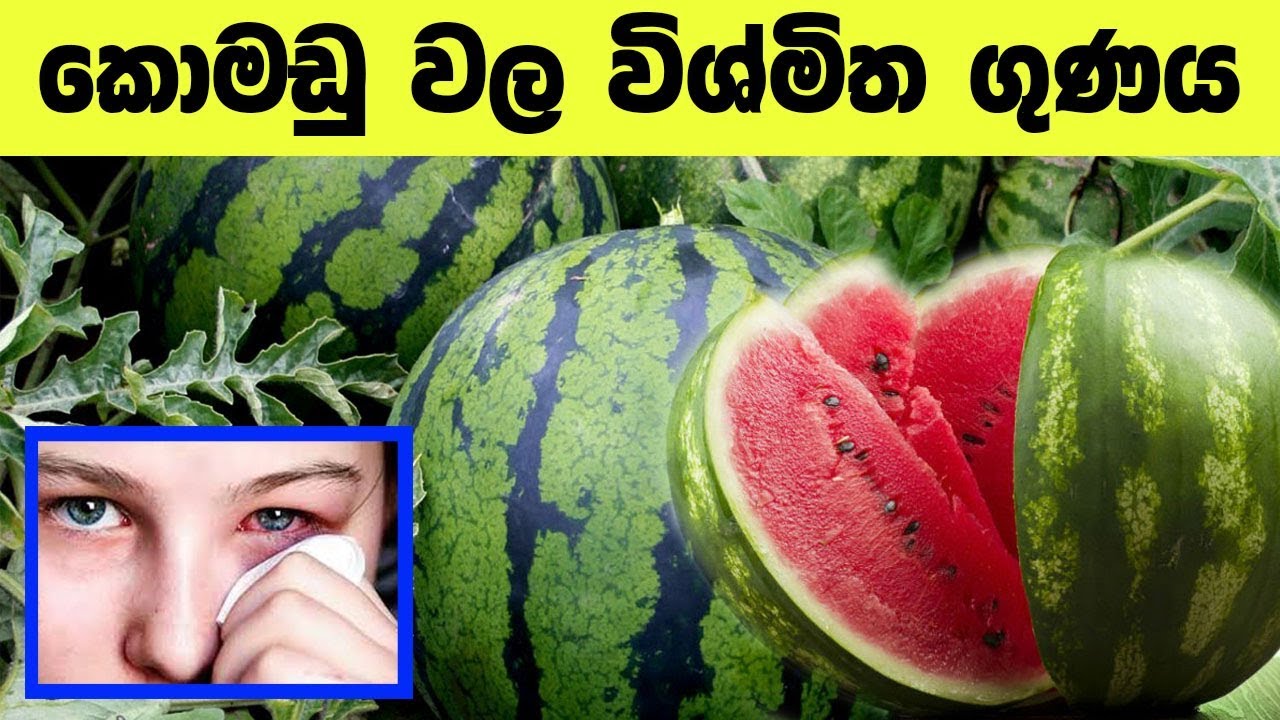 කොමඩු වල විශ්මිත ගුණය - Amazing quality of watermelon - YouTube