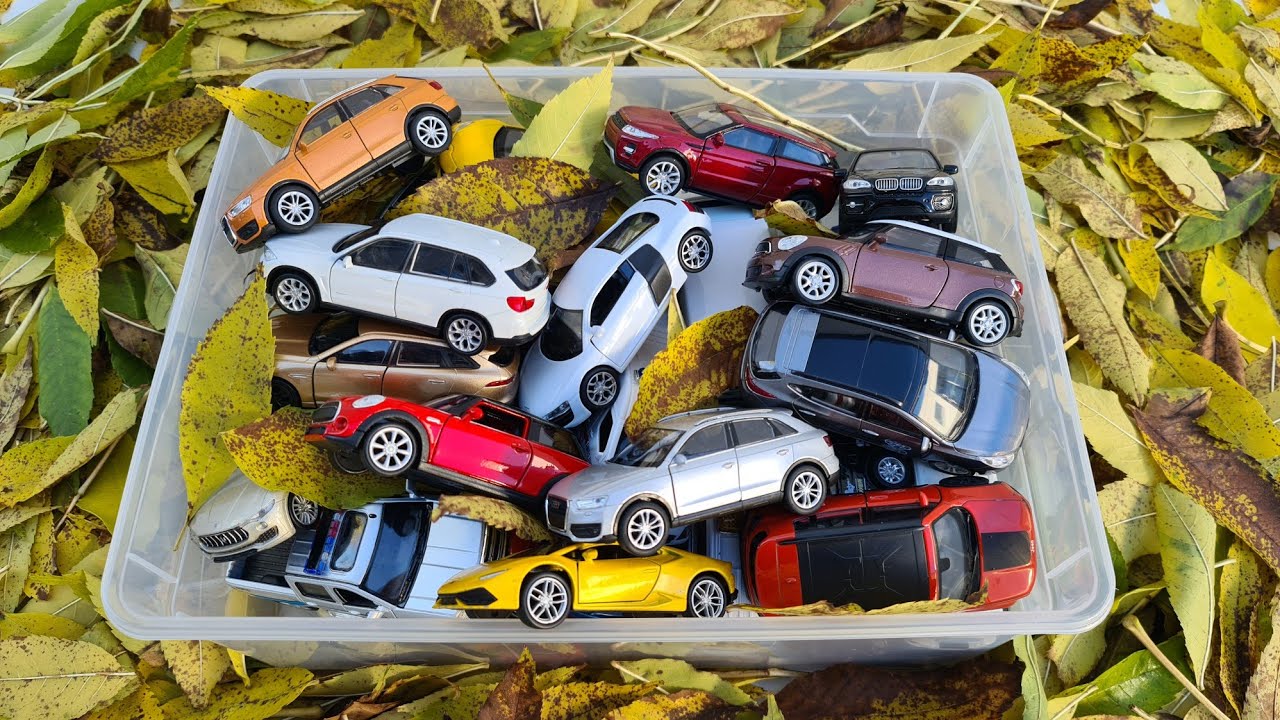 Cars in the box with leaves Video about Cars - YouTube
