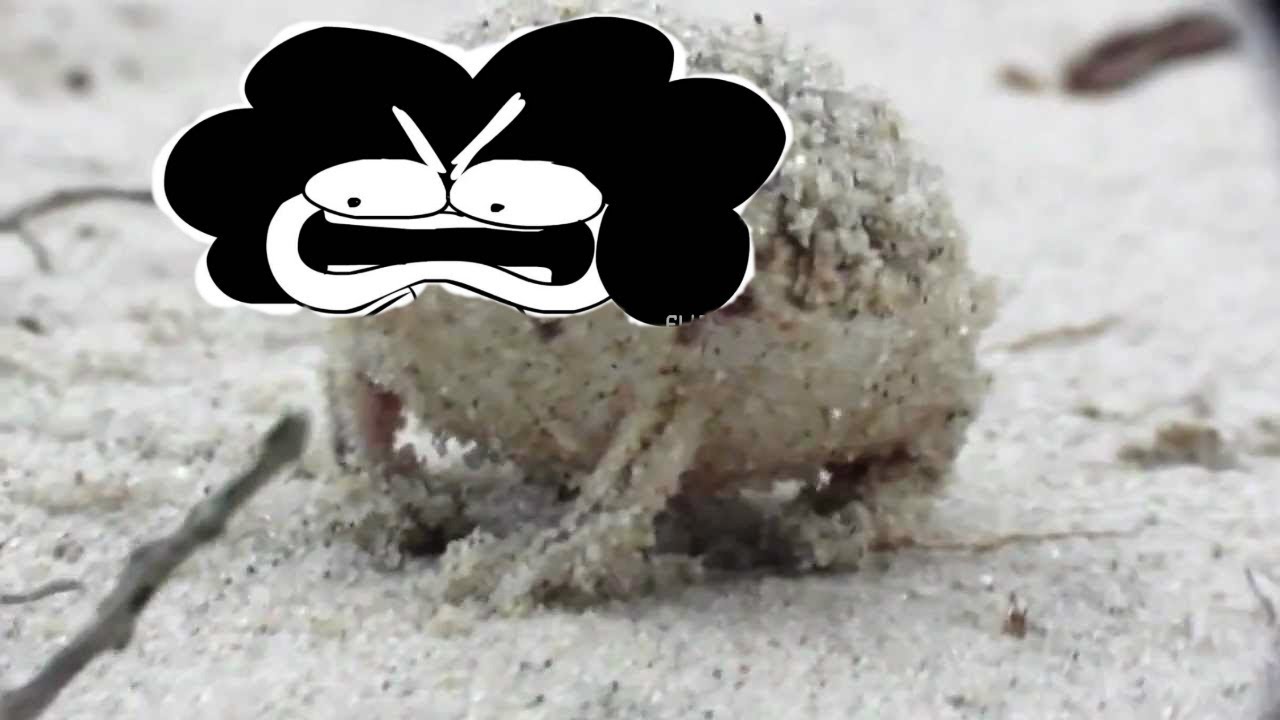 angry squeaking Sr Pelo - YouTube