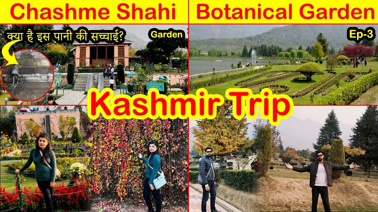 Chashme Shahi Garden | Botanical Garden Srinagar | Kashmir Trip ...