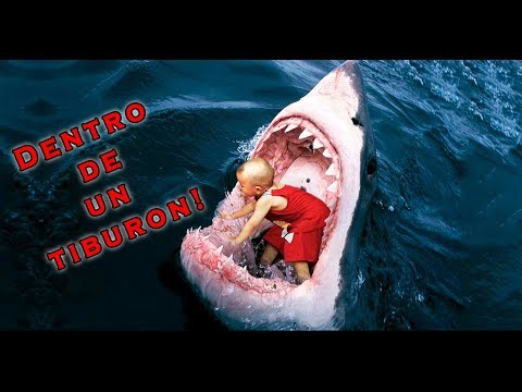 Tiburoncin hu ha ha - YouTube