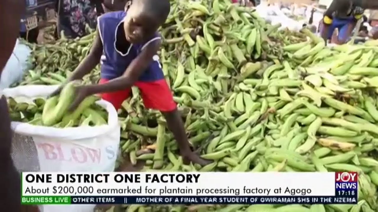 1 District 1 Factory: About $200,000 earmarked for plantain processing ...