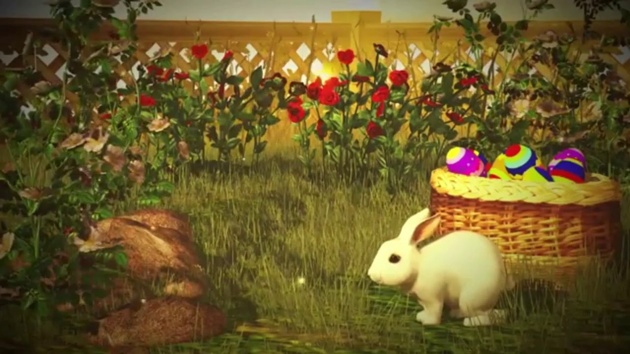 1 HOUR! ~ Easter Bunny Screensaver! ~ Adorable for the Holiday! - YouTube