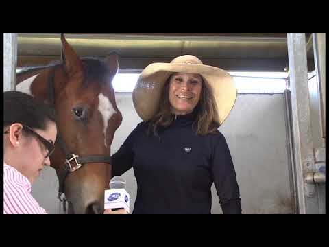 Lauren's First News Package 4/29/2016 #GoodHopeEquestrianCenter #FirstNewsPackage