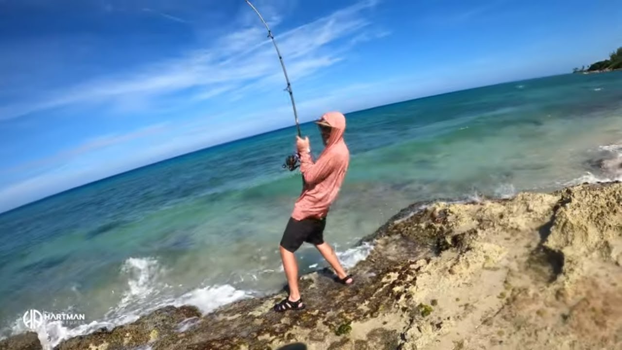 Monster Permit Fish catch in Jamaica | Epic Fight | Monster Fish - YouTube