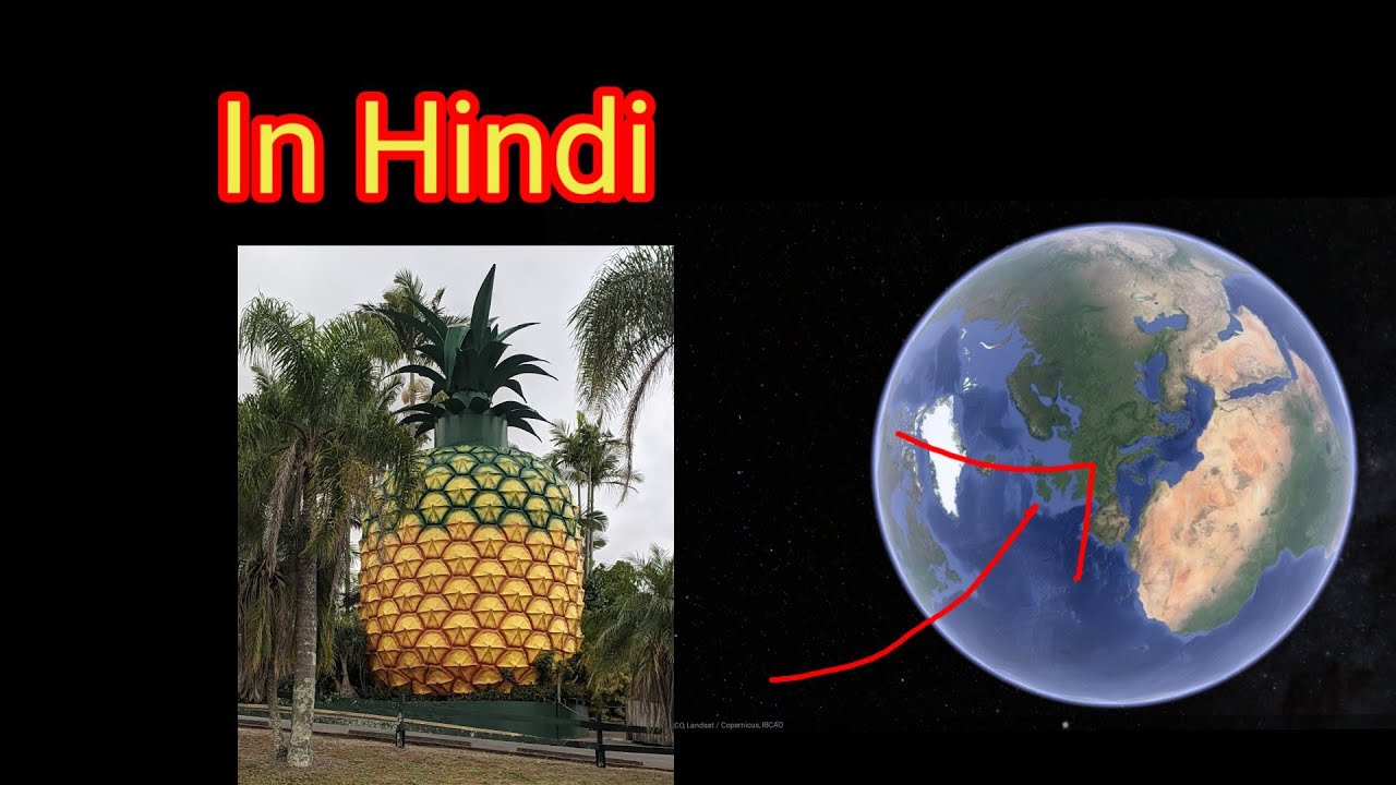 Pineapple 🍍🍍🍍 In Google Earth - YouTube