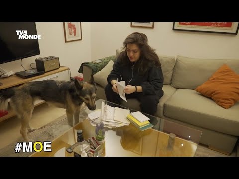 Shaden Fakih, Louma Salamé, Arslane Bestaoui, Anne Andlauer au sommaire ...