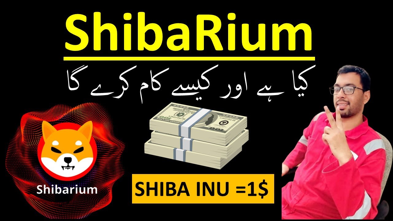 Shibarium : What is Shibarium Update : Shiba Inu Coin - YouTube