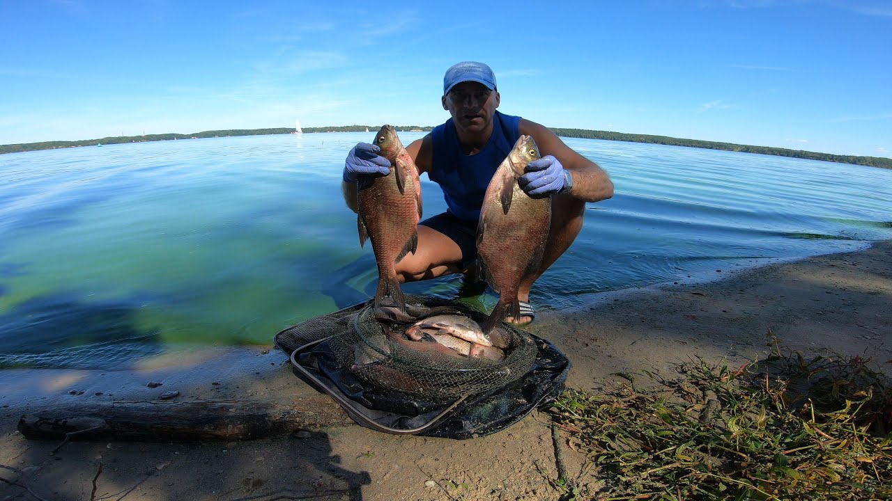 Ar kimba karšiai vasarą Kauno Mariose 2024 08 15. Žvejų klubo „Bream ...