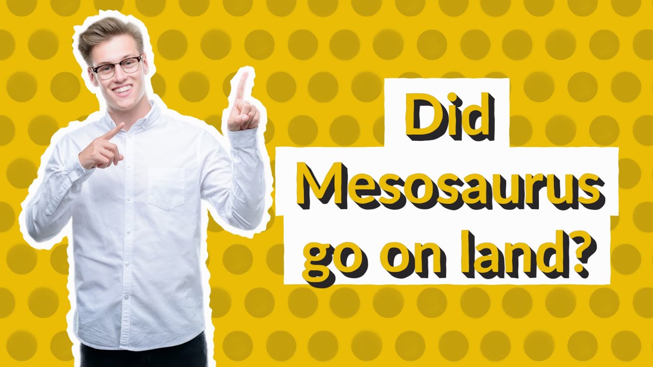 Did Mesosaurus go on land? - YouTube