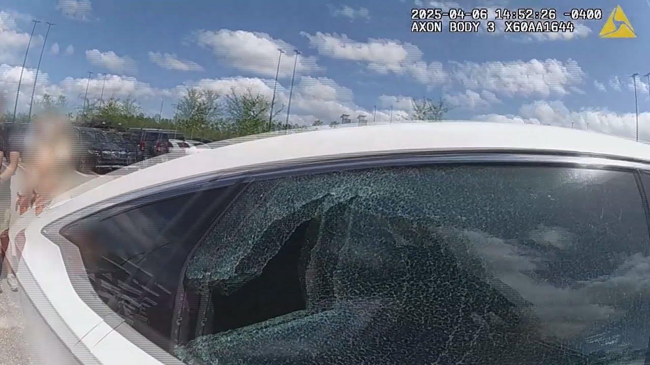 Florida deputy smashes out window after finding dog locked in hot car ...