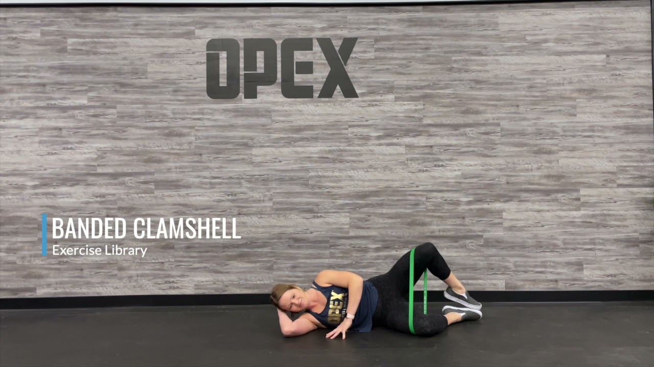 Banded Clamshell - YouTube