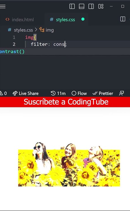 ¿Cómo poner filtro a una imagen en CSS? - #shorts - YouTube