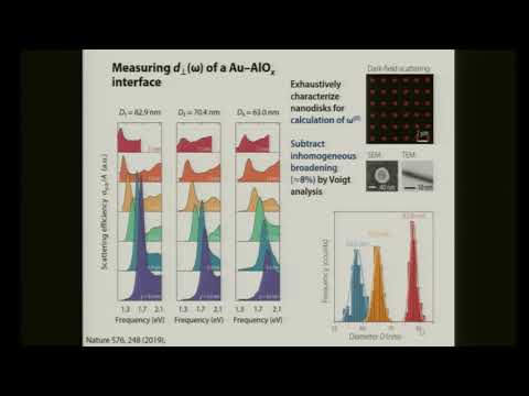 Yi Yang: Photonics and Plasmonics