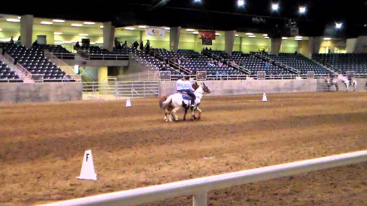 HDV 0645 Riata and Janna Working pairs - YouTube