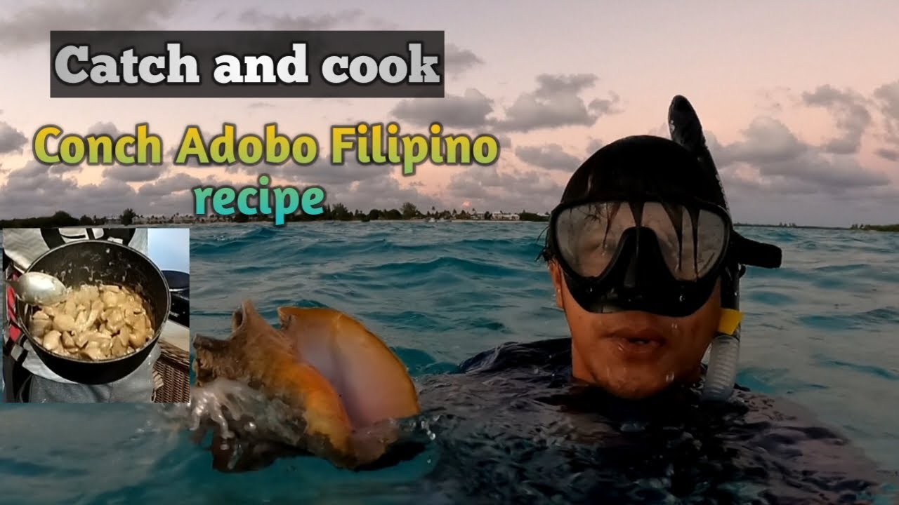 Catch and Cook Conch ( Conch Adobo Filipino recipe) - YouTube