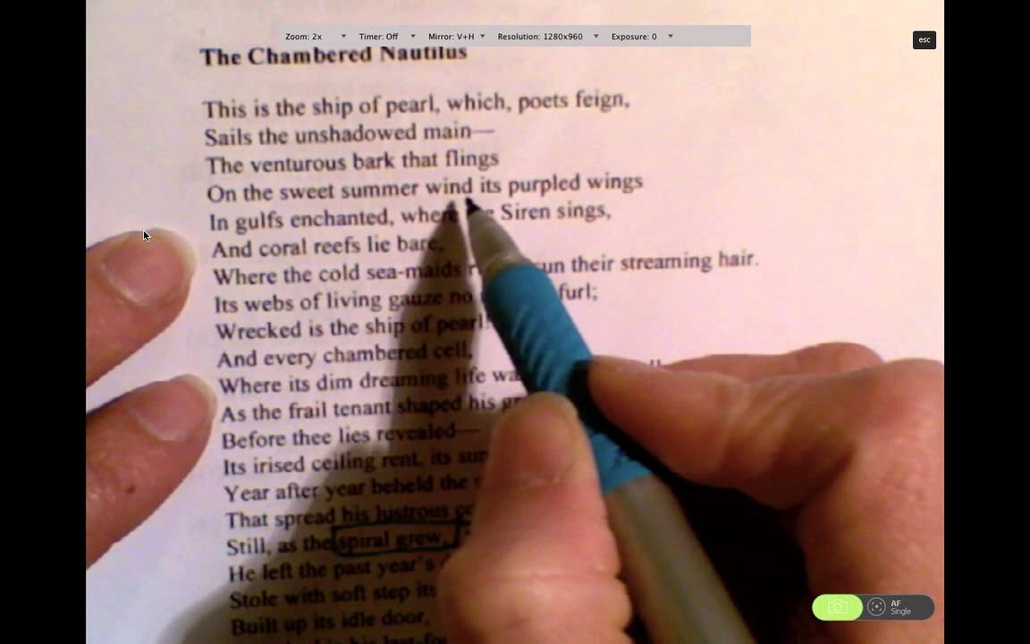 The Chambered Nautilus - YouTube