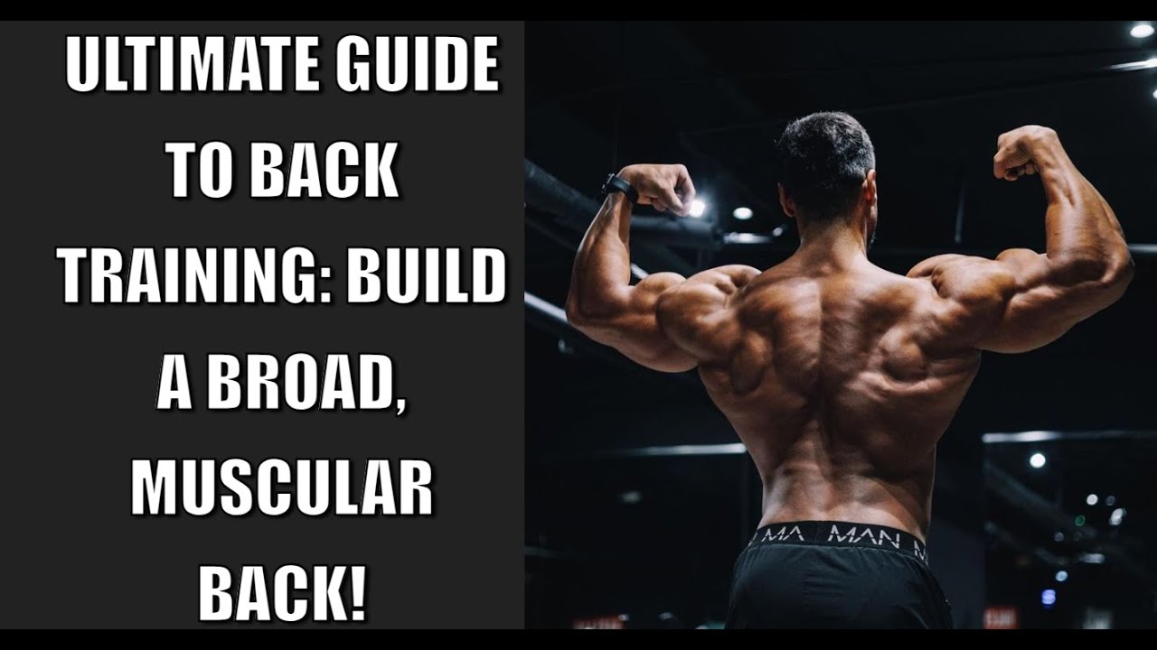 Ultimate Guide to Back Training: Build a Broad, Muscular Back! - YouTube