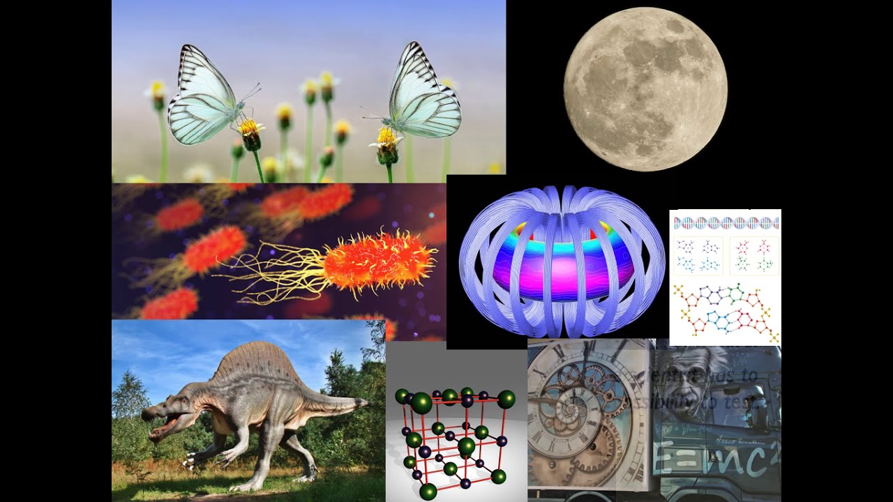 Taber 2020 Imagination and creativity in science and science education ...
