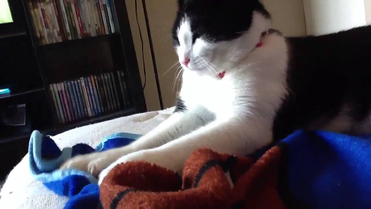 Cooper smurgling - YouTube