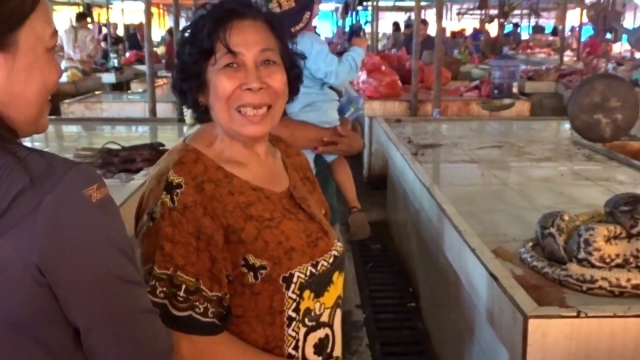 BAT MEAT MARKET TOMOHON- DOG_CAT_PETS-SNAKE- - YouTube