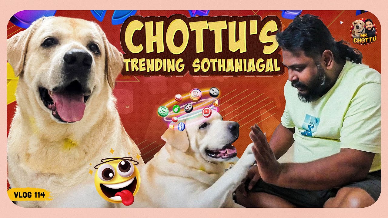 செம Scene இருக்கு 😁😎 | Chottu's Trending Sothanaigal | Vlog 114 | Mr.Chottu - YouTube