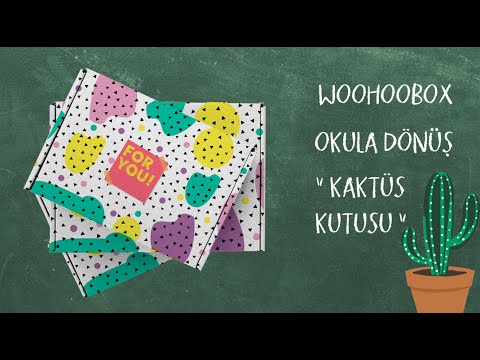 Woohoobox Okula Dönüş Kaktüs Kutusu!
