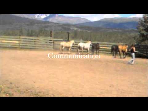 Exercise - Wrangler & the Ricochets 2013 - YouTube
