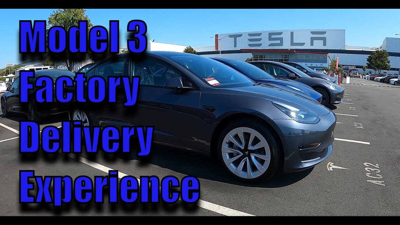 My New 2023 Tesla Model 3 ** Direct Tesla Factory Pickup Delivery Day ...
