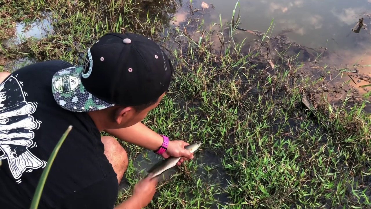 Welcome To Nard Fishing - YouTube