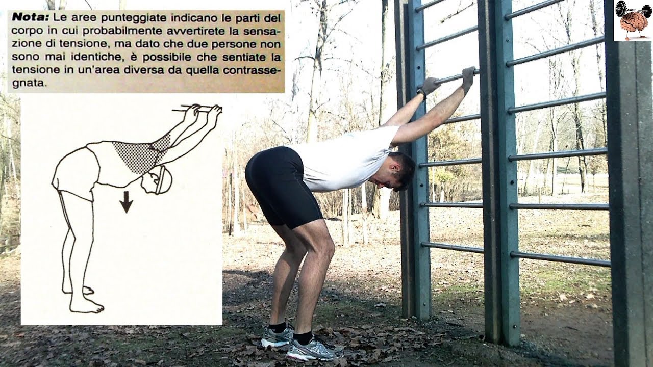 Stretching per spalle e schiena - YouTube