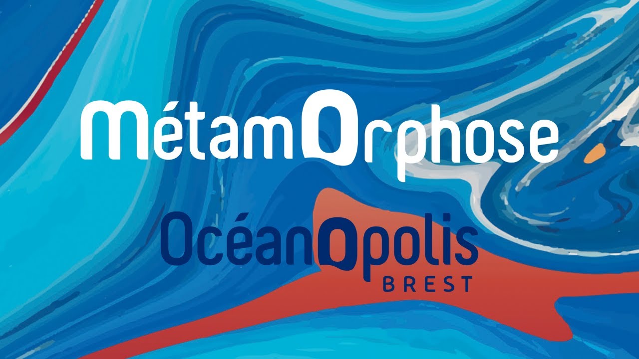 Métamorphose - YouTube