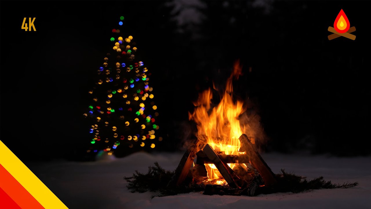 Colorful Xmas 🎄 tree 🔥 campfire (12 hours) - YouTube