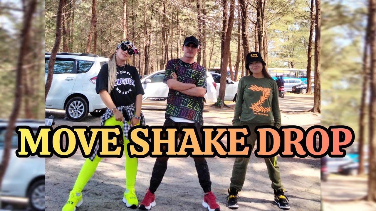Move, Shake, Drop - DJ Laz, Flo-Rida | move shake drop | Zumba with zin ...