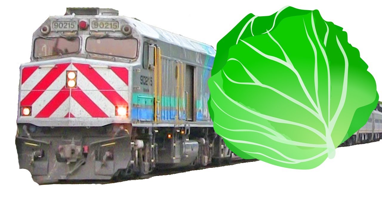 What's a CABBAGE Car?? - YouTube