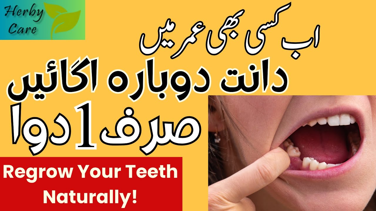 اپنے دانت دوبارہ اگائیں Regrow Your Teeth Naturally! New Research - YouTube