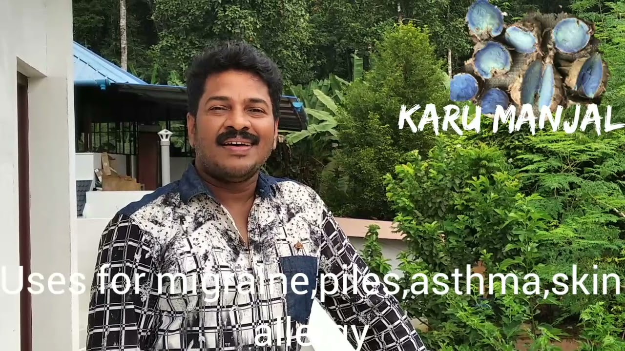 KARU MANJAL-black turmeric.medicinal plant use for Migraine,piles ...